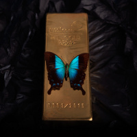 An Attempt to Value Gold (Update!) - GoldRepublic.com